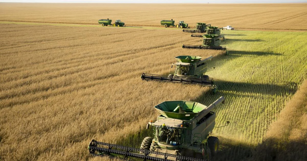 The Modern Farmer’s Guide to Choosing the Perfect Harvester - Tractor ...