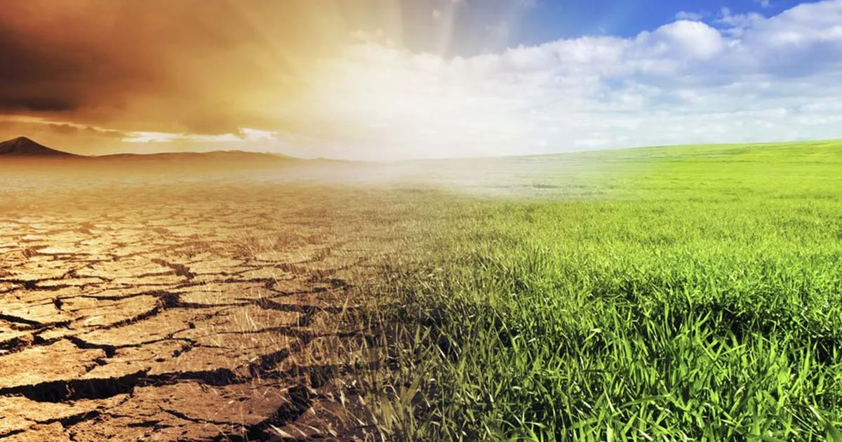 How Climate Change is Reshaping Farming in Jamaica - Tractor Corner Jamaica